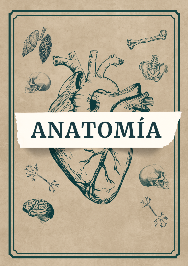 🚀 Portadas de Anatomía ️ 【2025